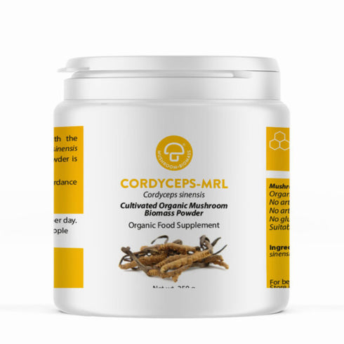 Cordyceps -MRL Powder 250g – Matakana Pharmacy