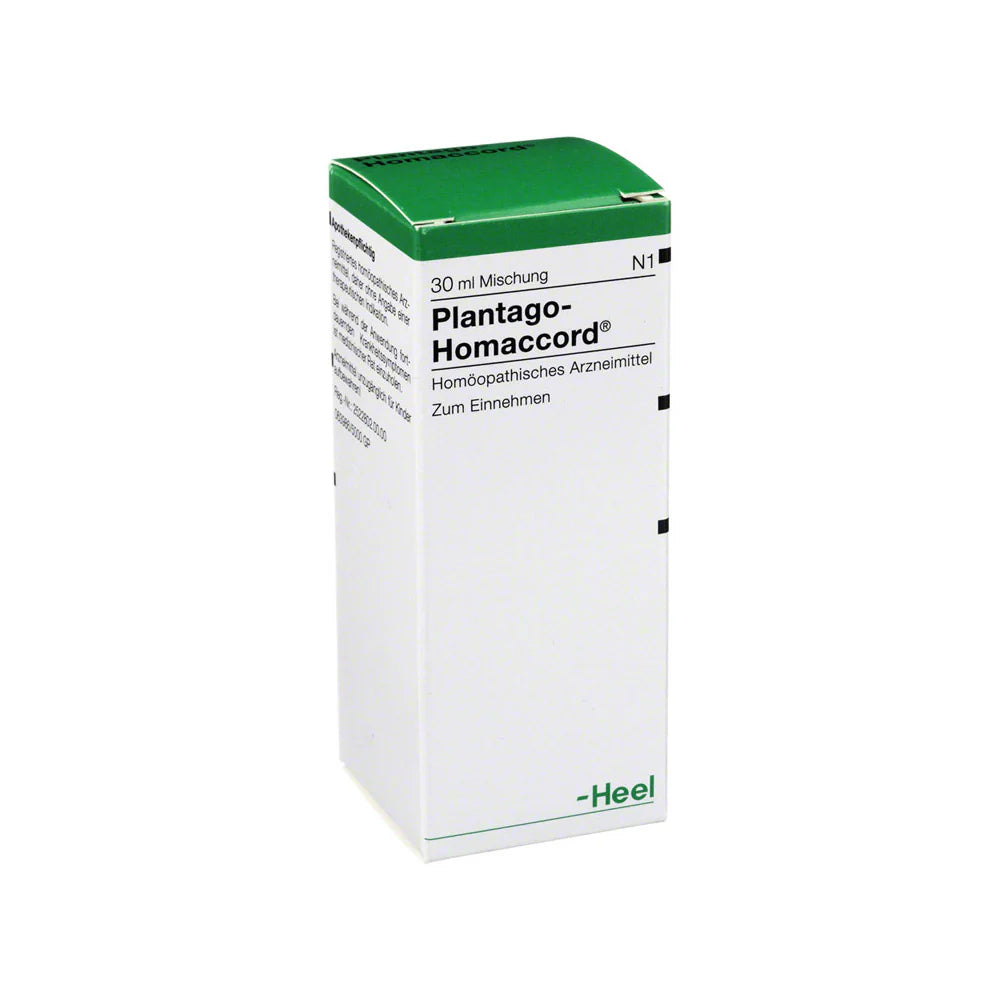 Plantago Homaccord Drops 30mls – Matakana Pharmacy